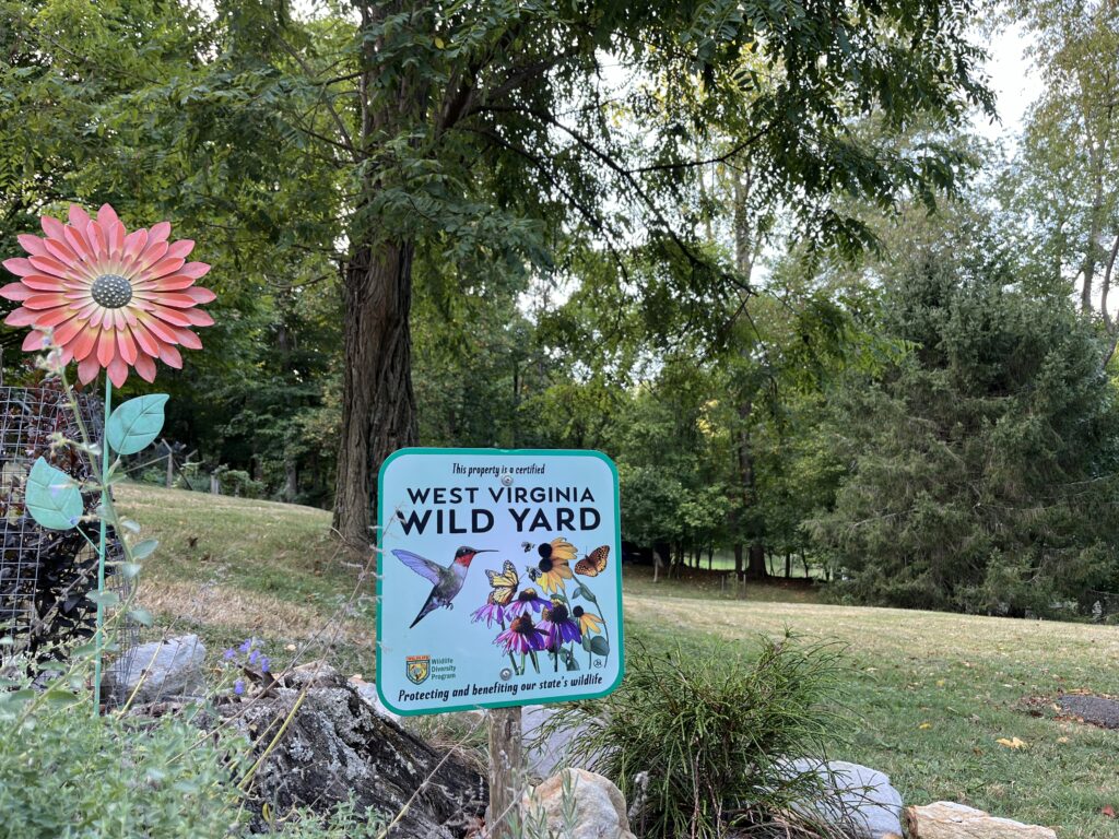DNR’s Wild Yard program lets private landowners get in on wildlife ...