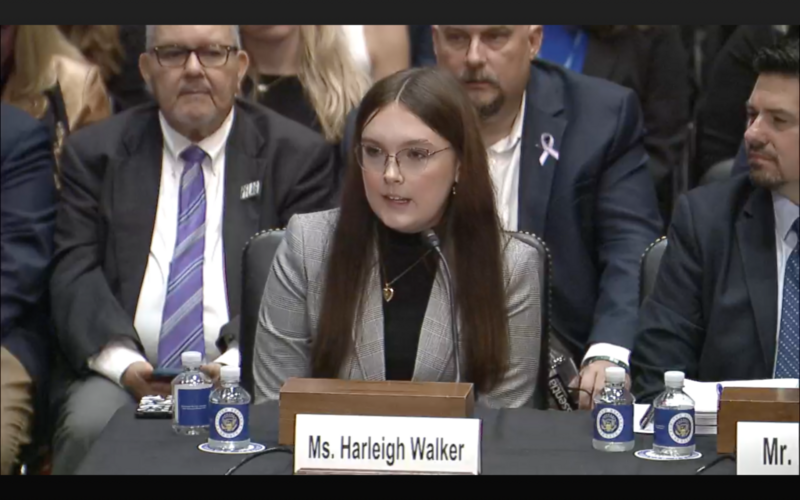 ‘Lobbying for my right to exist’: US Senate panel examines how states ...