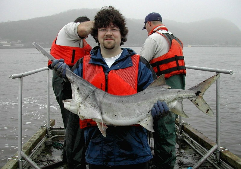Fish passage project: A first of its kind | News From The States