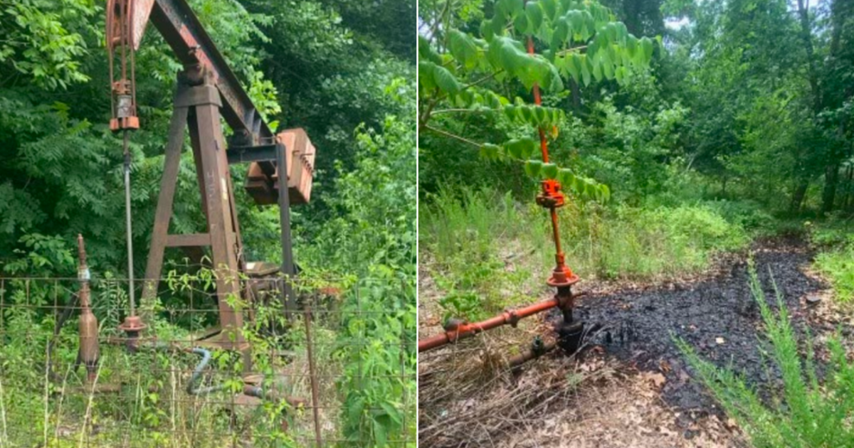 More than 100 ‘orphan’ wells in Daniel Boone National Forest to be ...