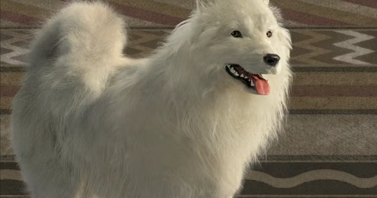 New analysis confirms precolonial lineage of Indigenous dogs once kept ...