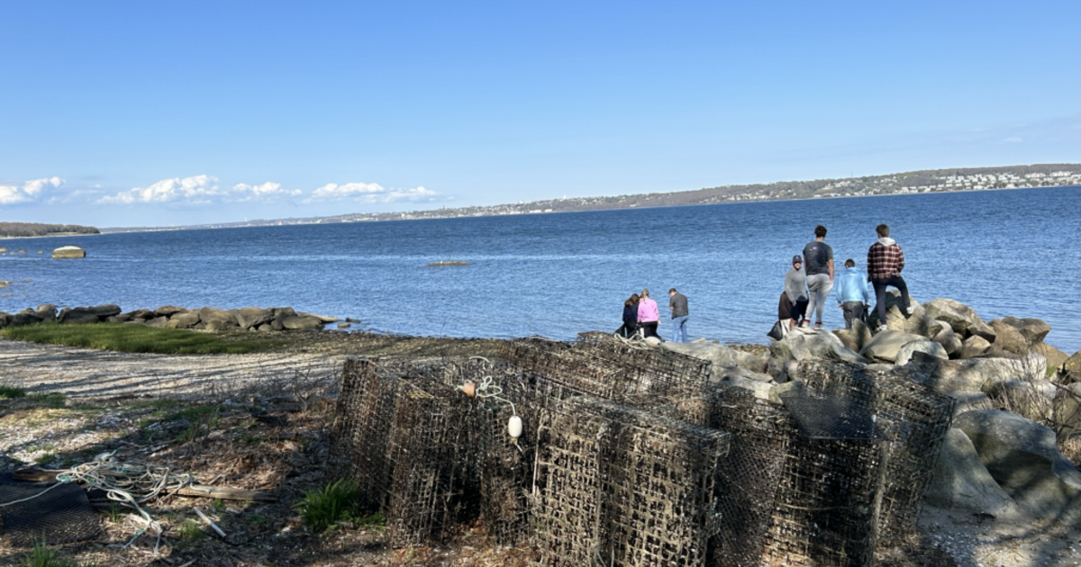 RWU aquaculture research farm aims to boost bivalve industry | News ...