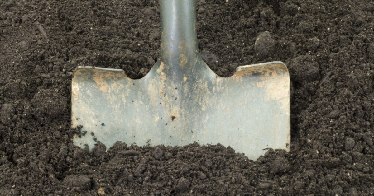 It’s time Davenport leaders put down their shovels | News From The States